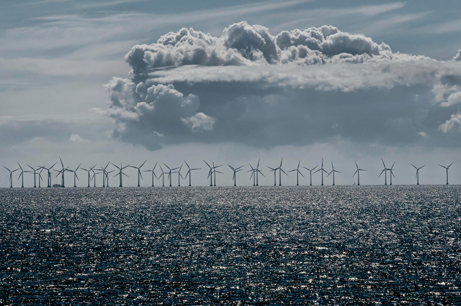 Mechanical vs Ultrasonic Wind Sensors: Key Differences & Acu-Res®